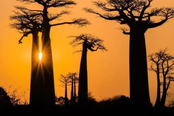African Mythology: Gods, Spirits, and Folklore from Across the ...